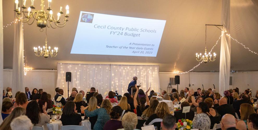 CCPS names Brianne Souder Teacher of the Year | News | cecildaily.com