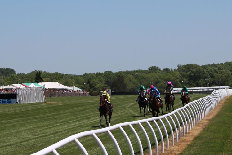 Fair Hill Races draw big crowd under new organizers | Local News ...