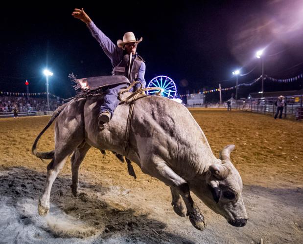 Cecil County Fair 2017 | Spotlight | cecildaily.com