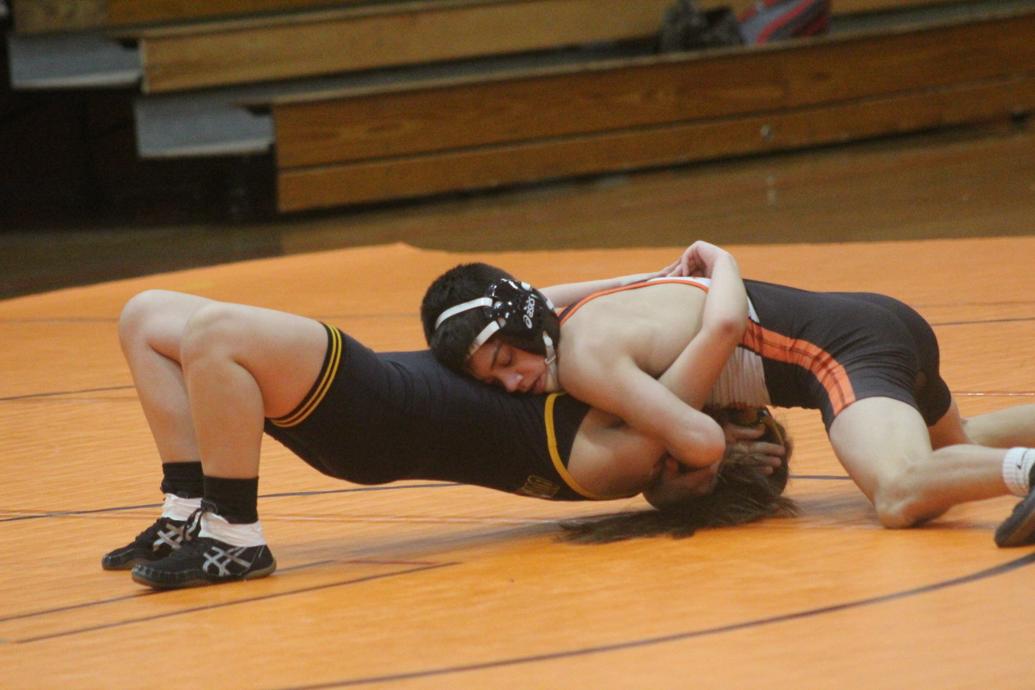 Rising Sun's Tyler Garvin crowned 106lb. state champion, Cecil ...