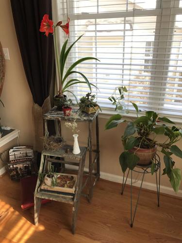 It's Garden Thyme! with Michele Michalski of North East | Spotlight ...