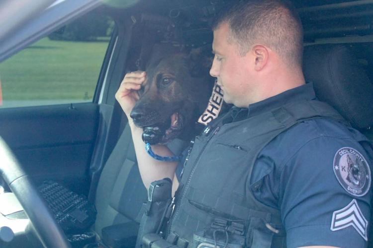 Police motorcade escorting ashes of K9 Kilo serves as public tribute ...