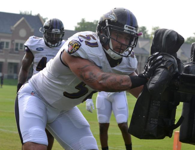 2016 Baltimore Ravens Training Camp | Sports Gallery | cecildaily.com