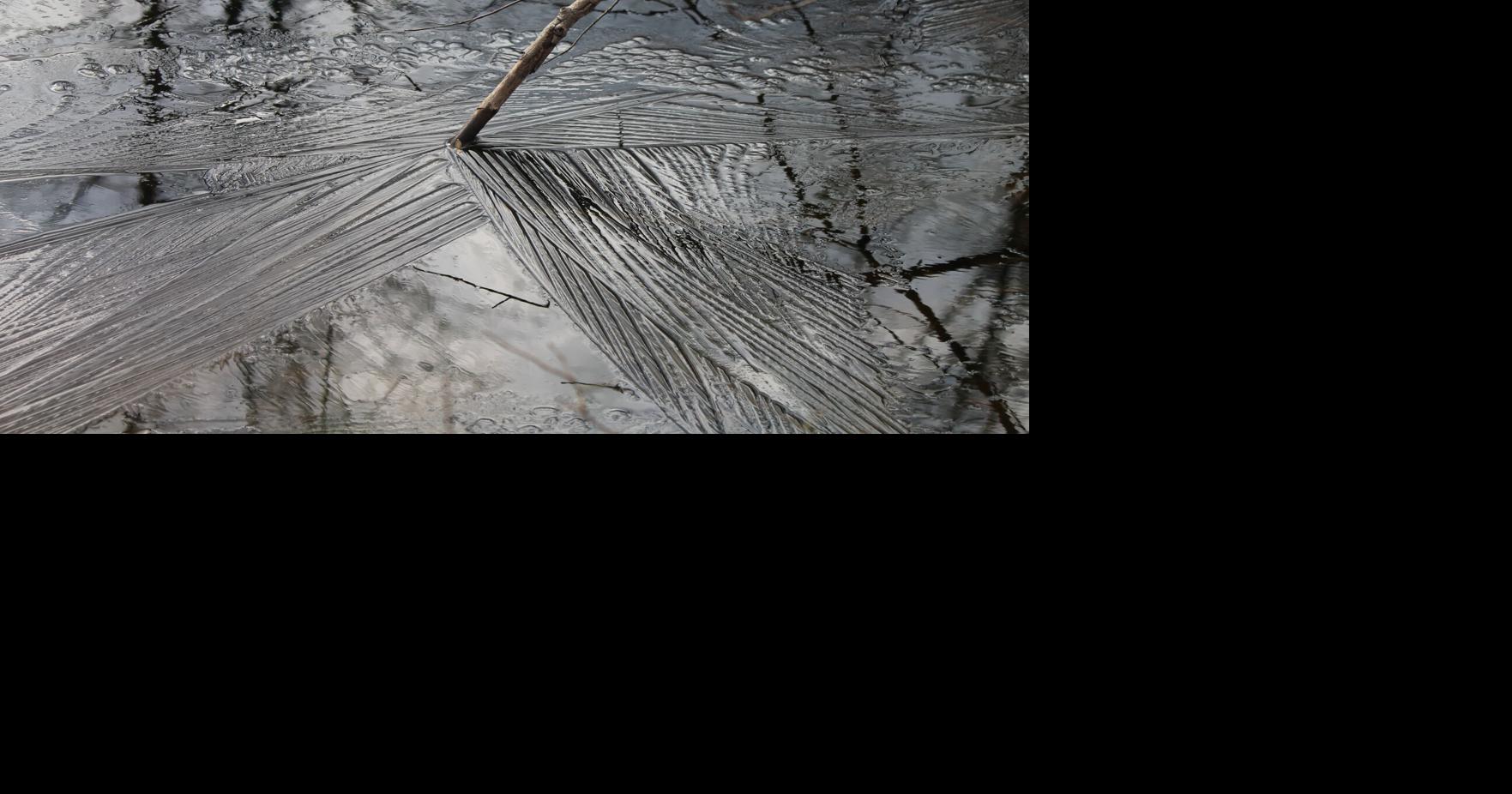 News Briefs: Octoraro Watershed photo contest, affirmative further fair ...