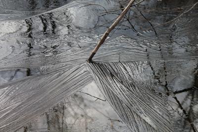 News Briefs: Octoraro Watershed photo contest, affirmative further fair ...