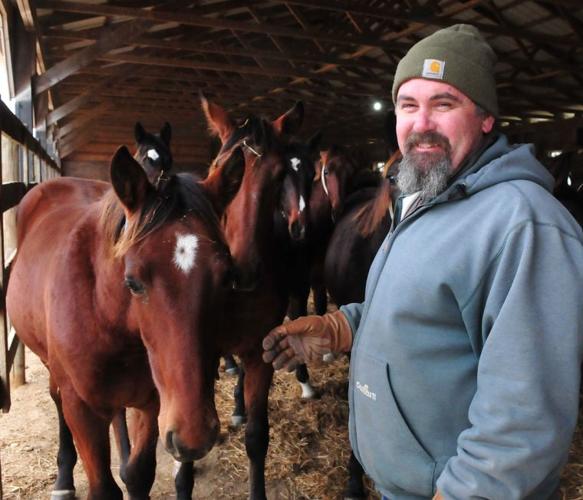 On the job: Yearling manager | Local News | cecildaily.com