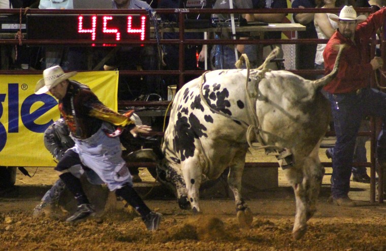 Photo gallery: Three Hills Rodeo delights at Cecil County Fair | Local ...