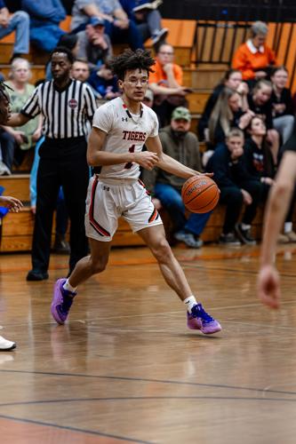 Rising Sun falls to Harford Tech in region quarters | Sports ...