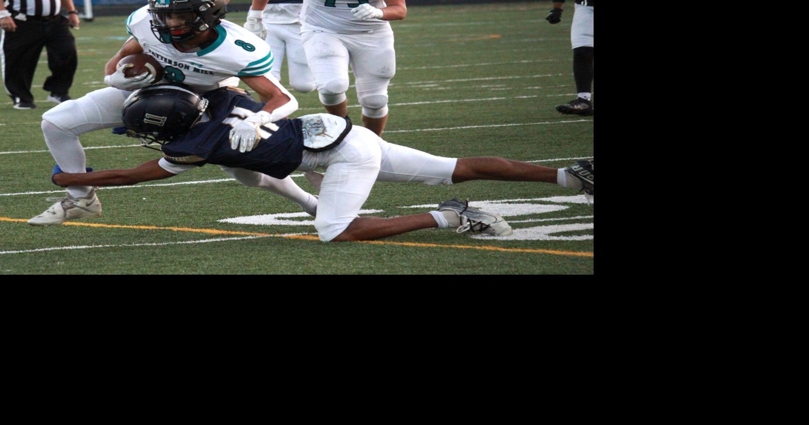 Panthers come up just short in low-scoring affair | Sports | cecildaily.com