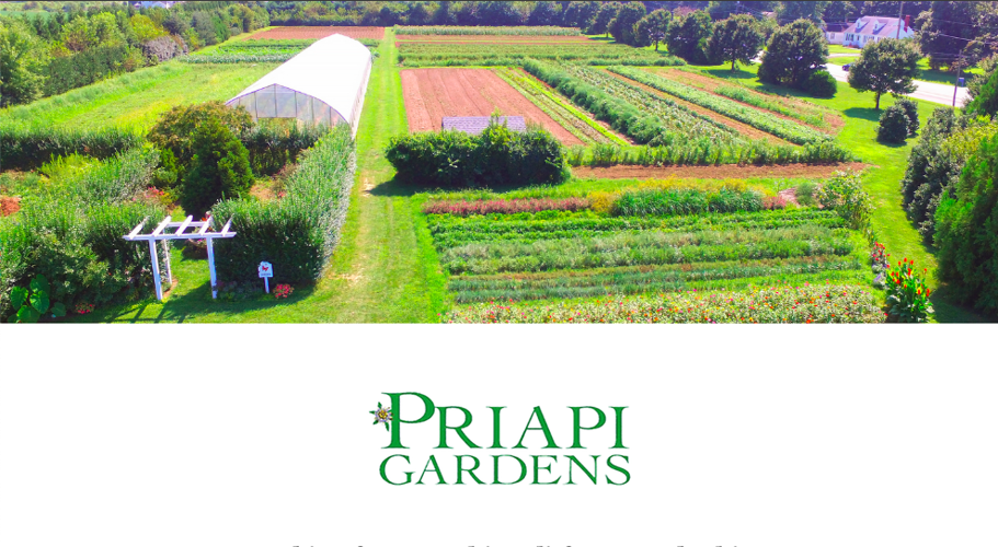 Touch a truck in RS and pick garlic in Cecilton | Agriculture ...