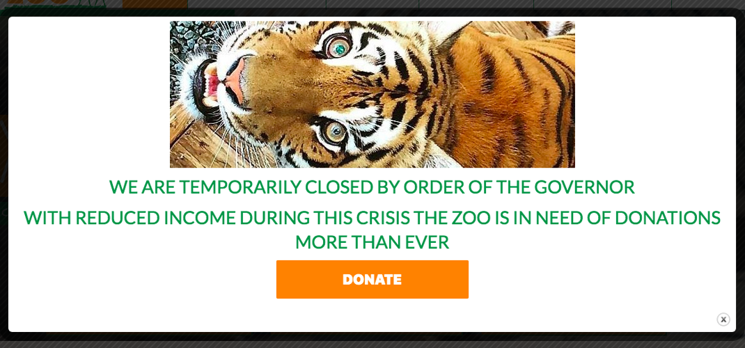 Plumpton Park Zoo, closed by COVID-19 restrictions, needs help ...