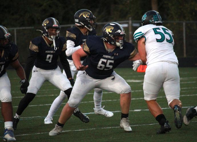 Panthers come up just short in low-scoring affair | Sports | cecildaily.com