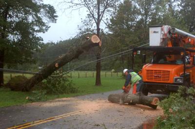 County to revisit plan for tree trimmers | Local News | cecildaily.com