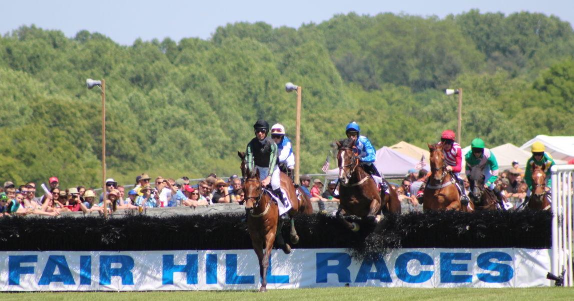 Breeders' Fair takes over Fair Hill Races | Business | cecildaily.com