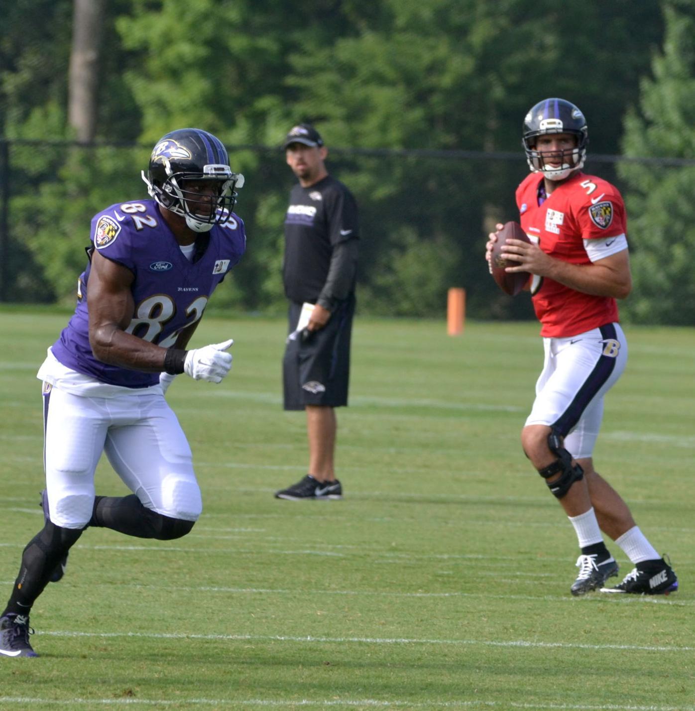 2016 Baltimore Ravens Training Camp | Sports Gallery | cecildaily.com