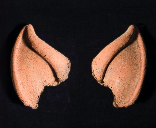 Spock's 'ears' donated to Smithsonian | Arts and Culture | cecildaily.com