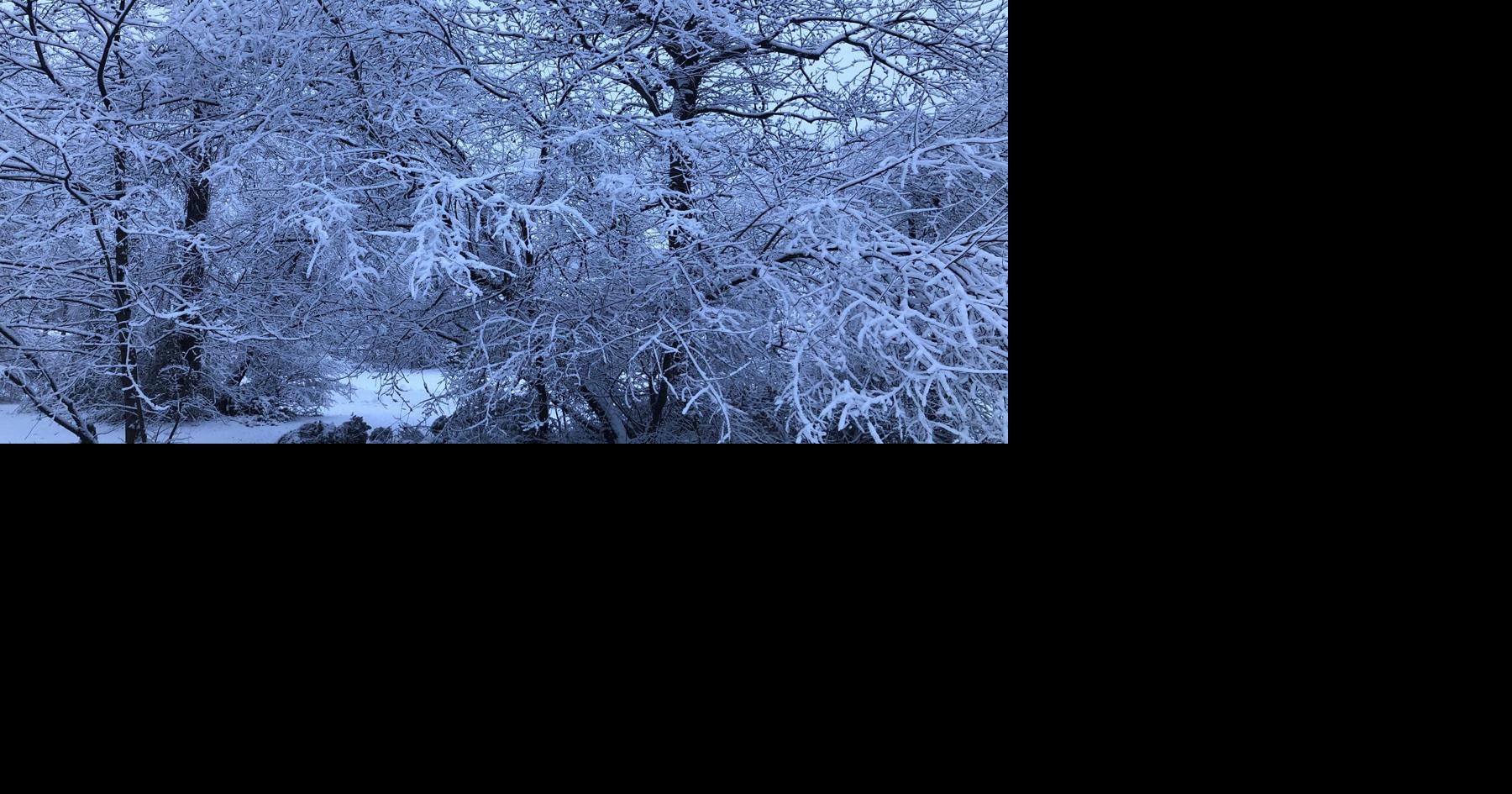 Cecil County residents awake Sunday morning to a winter wonderland ...