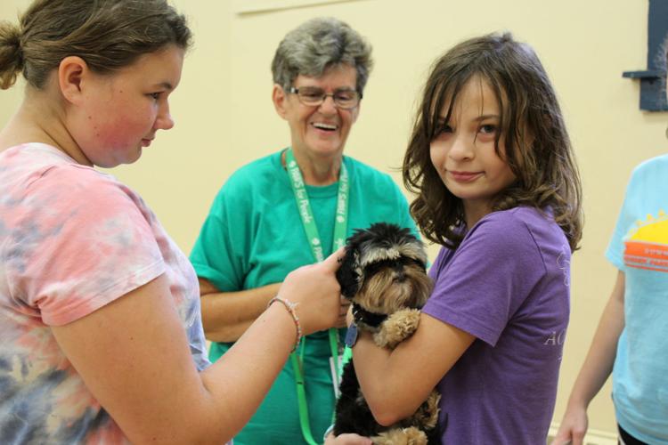 PAWS for People celebrates 15th anniversary | Local News | cecildaily.com