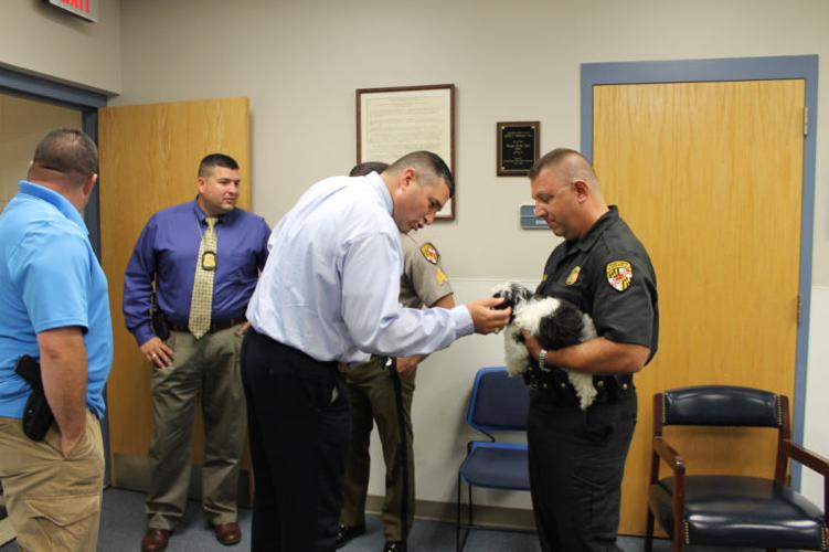 Police recover dog alive after it falls from car on I-95 | Local News ...