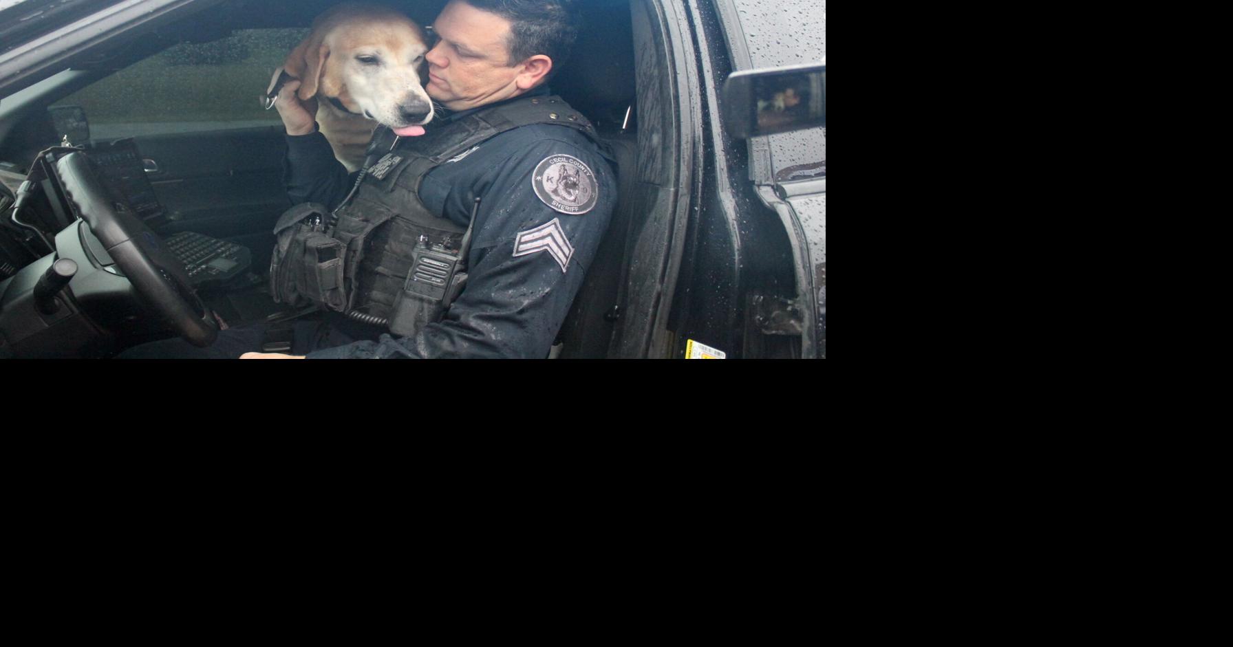 CCSO K9s Max and Roscoe receive big retirement sendoff | News ...