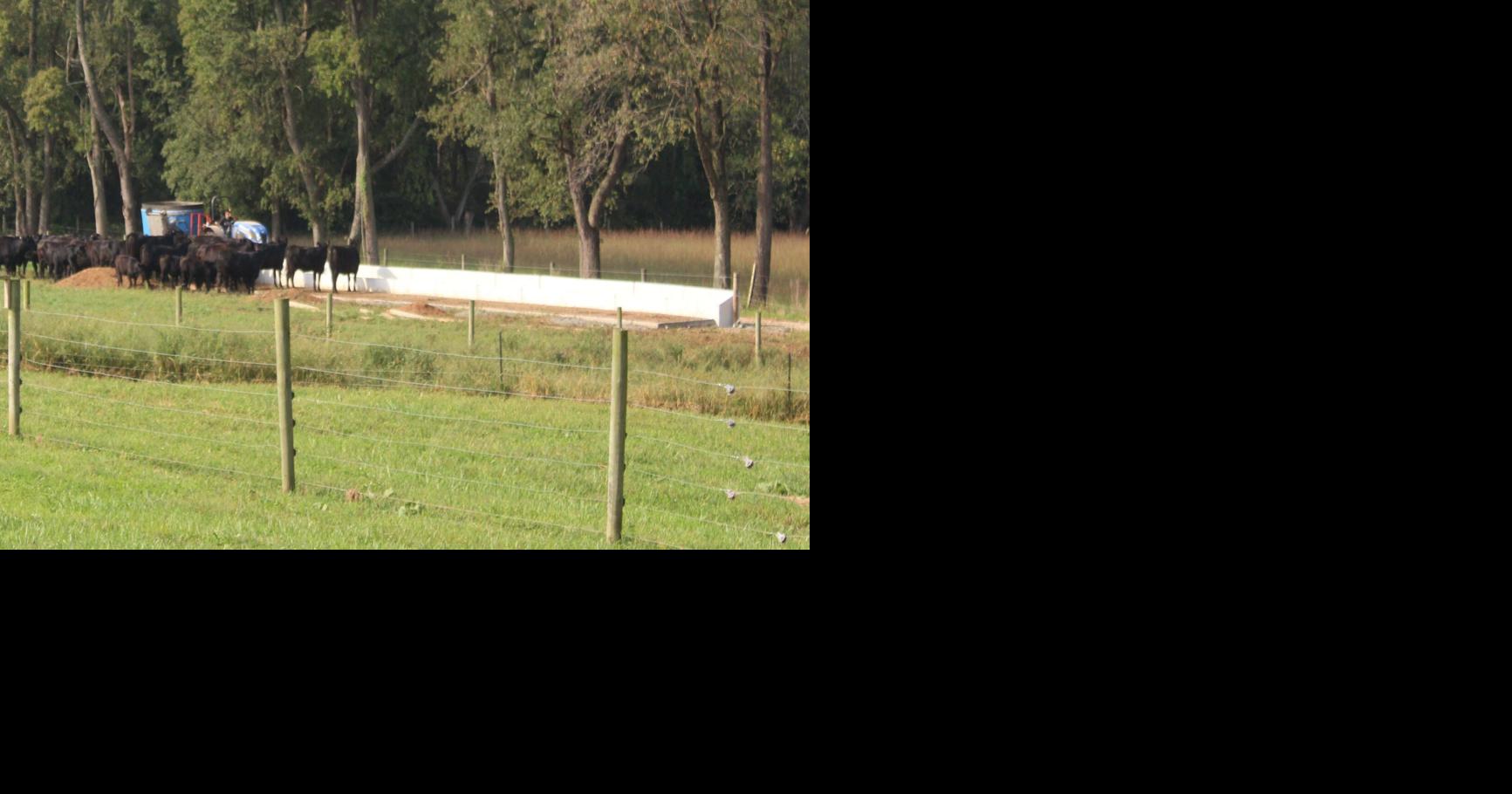 Farms balance benefits of agritourism with need to preserve land ...