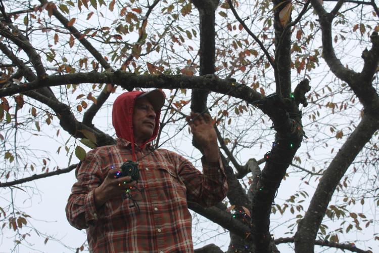 It's beginning to look a lot like Christmas at Herr's | Features ...