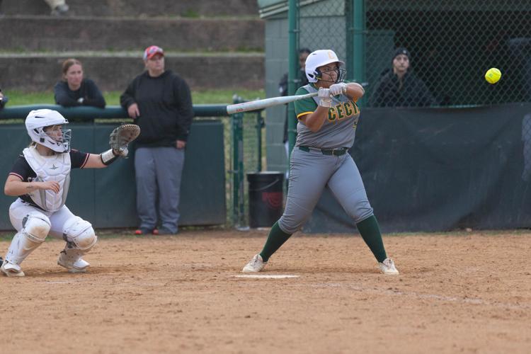 Five Cecil College softball players earn postseason honors | Sports ...