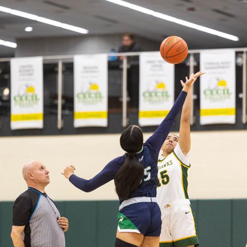 Cecil College earns first win in rebirth of women's basketball program ...
