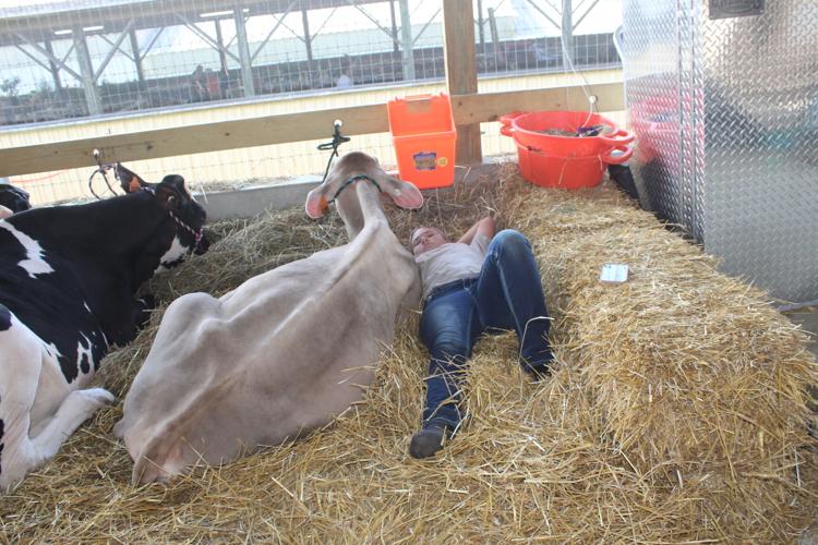 Photogallery: Fun at the 2025 Cecil County Fair | News | cecildaily.com