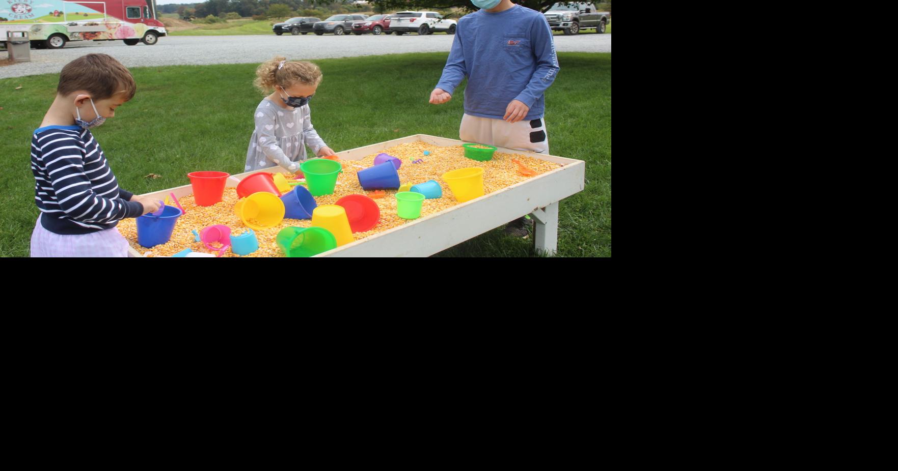 Kilby Cream Corn Maze is 5 acres of fun | Bargaineer | cecildaily.com