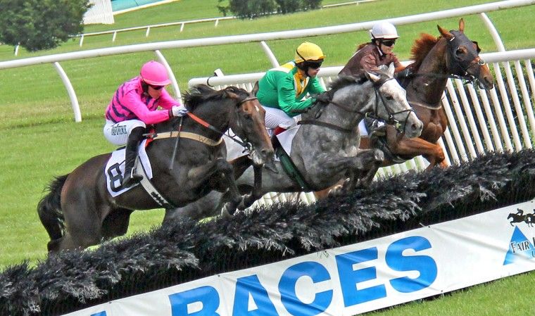 Fair Hill Races back for 81st year | Arts and Culture | cecildaily.com