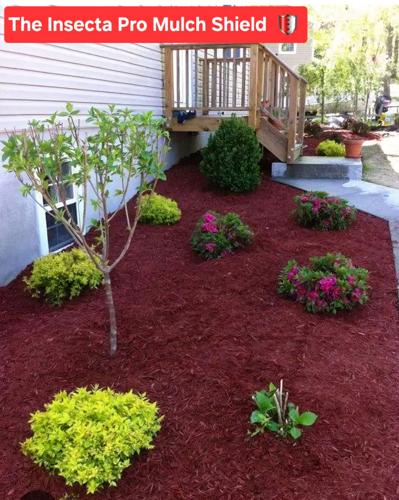 Insecta Pro Mulch Shield | | cecildaily.com