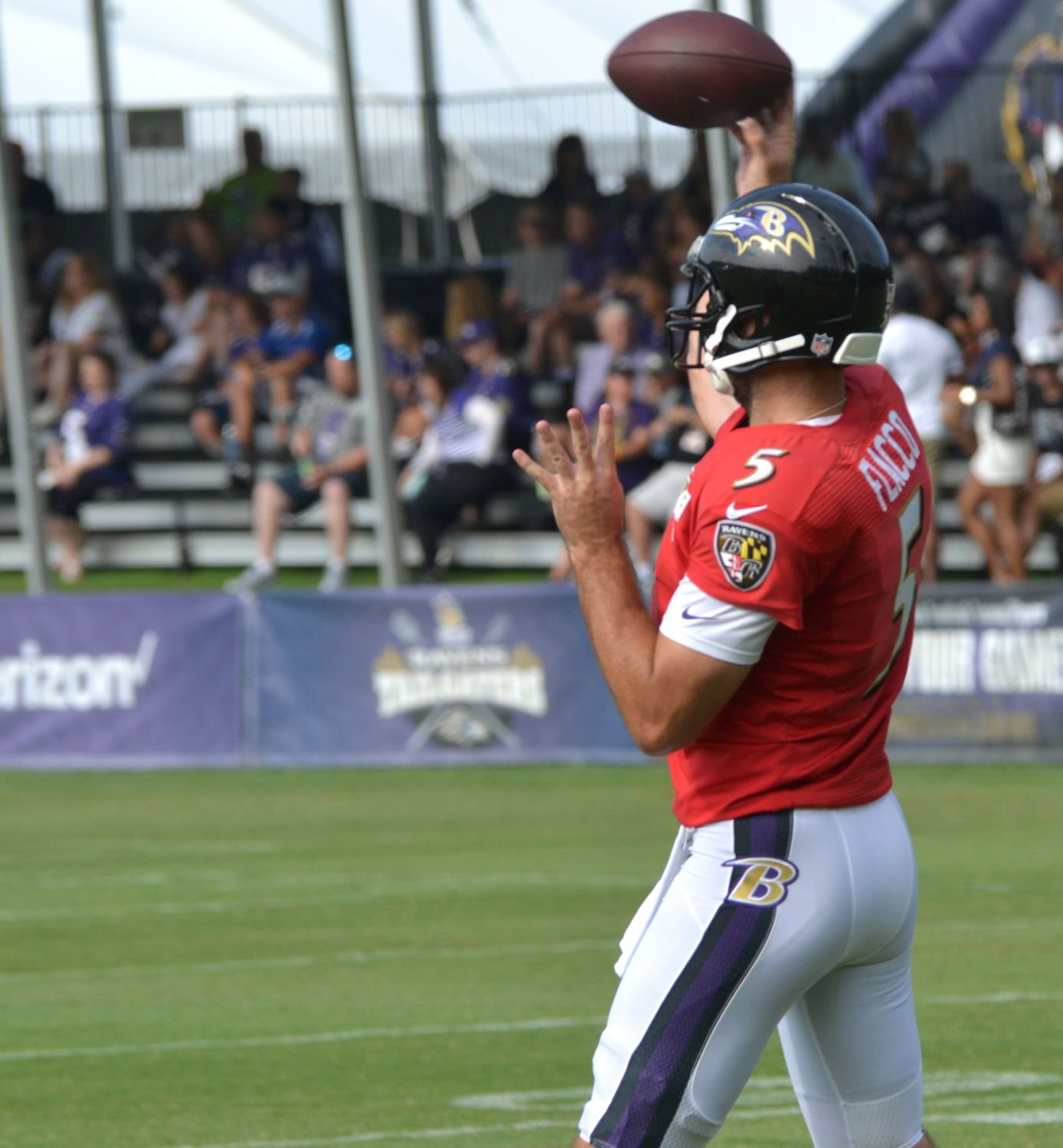 2016 Baltimore Ravens Training Camp | Sports Gallery | cecildaily.com