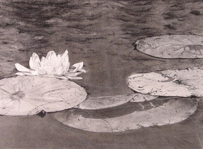 Adventures across US inspire local artist's charcoal, hand-lettered ...