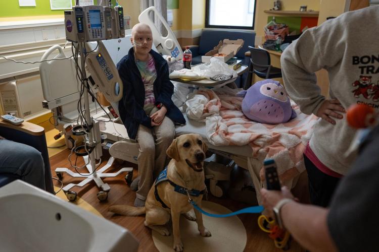 Good dog! More children’s hospitals turn to furry caregivers to help ...