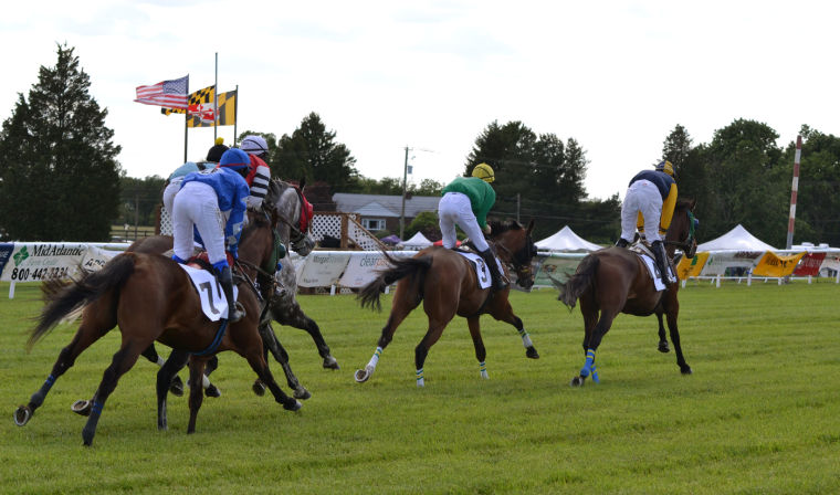 Fair Hill Races 2013 | News Gallery | cecildaily.com