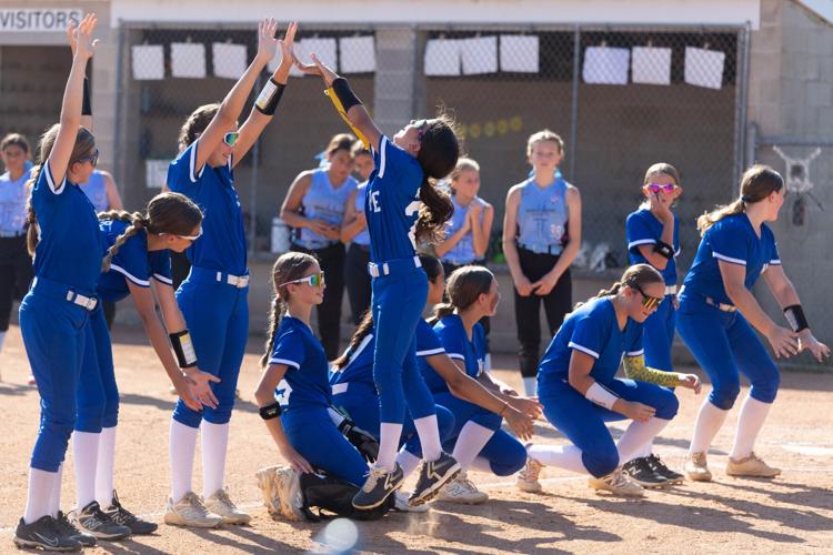 North East Little League 11u Softball All-Stars secure Maryland state ...