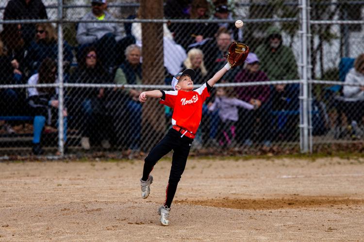 Little league action begins around Cecil County | Sports | cecildaily.com