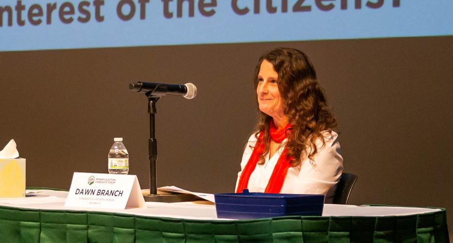 Gregory and Branch discuss education, business in Cecil County Council ...