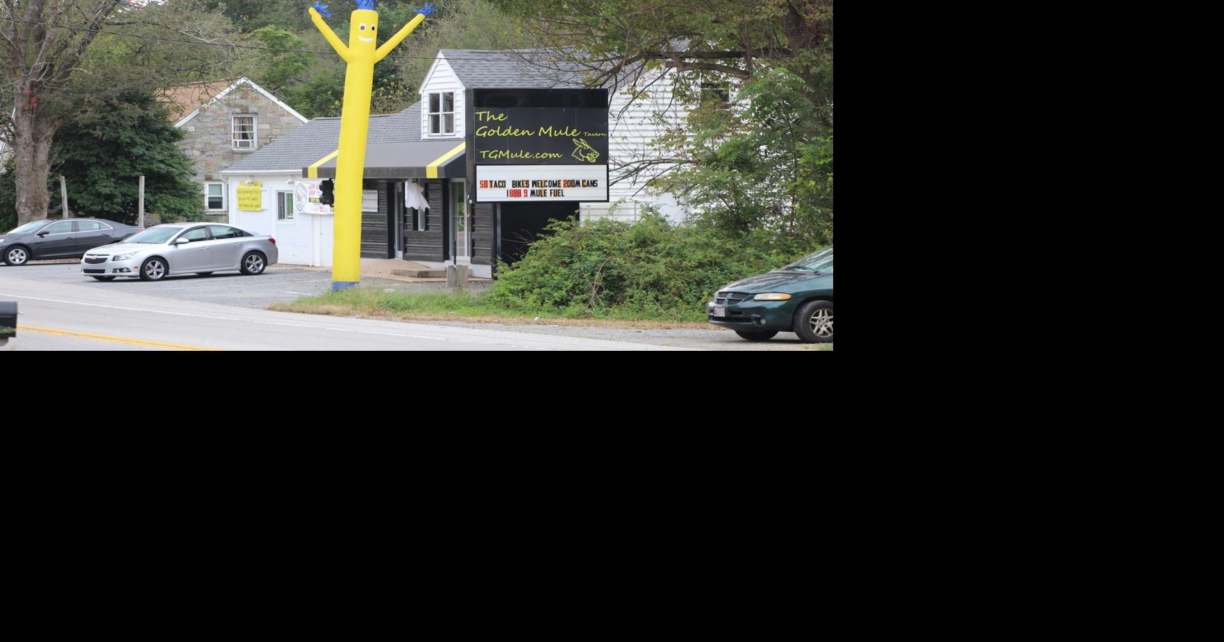 Golden Mule will try live music again | Business | cecildaily.com