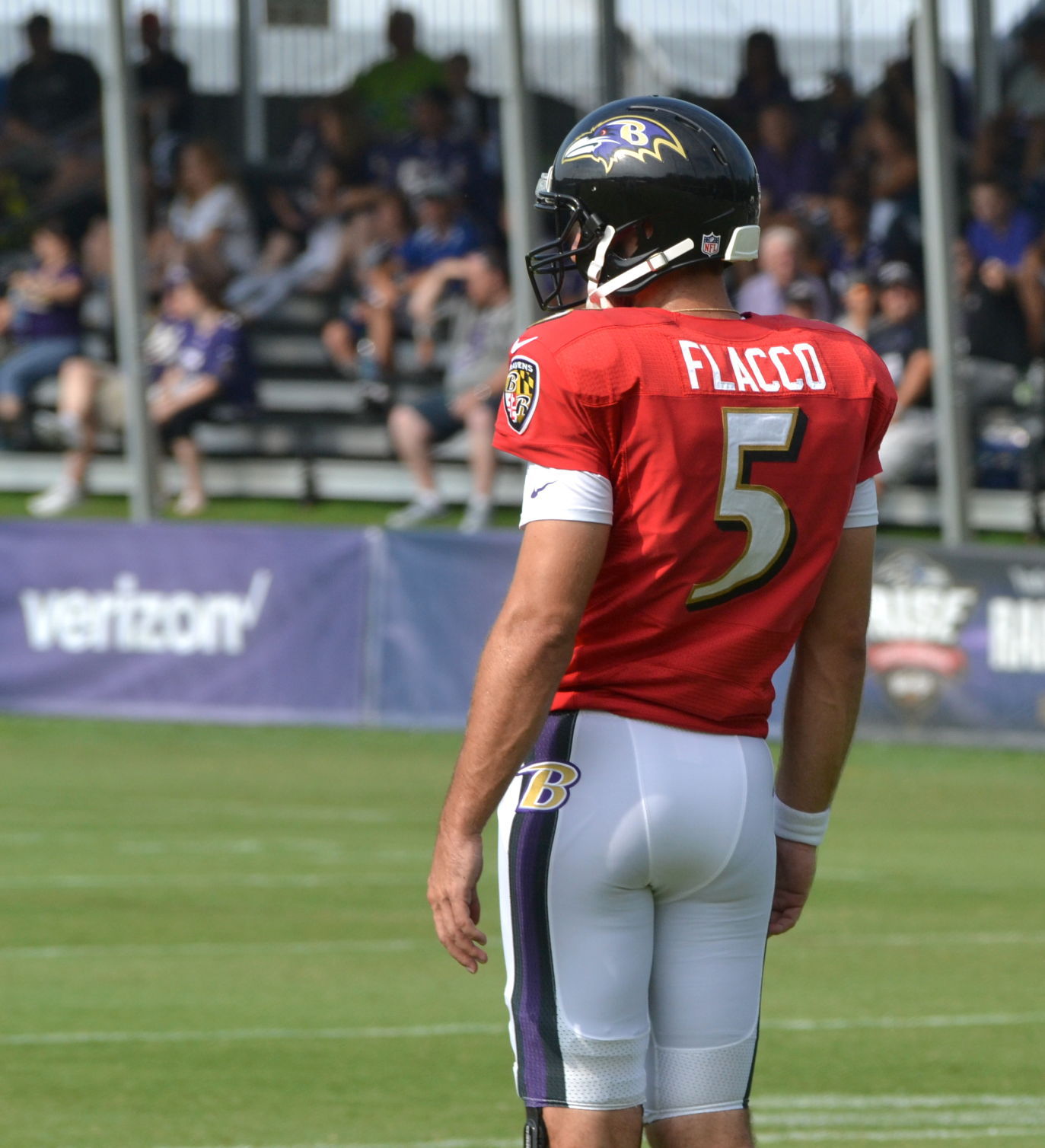 2016 Baltimore Ravens Training Camp | Sports Gallery | cecildaily.com