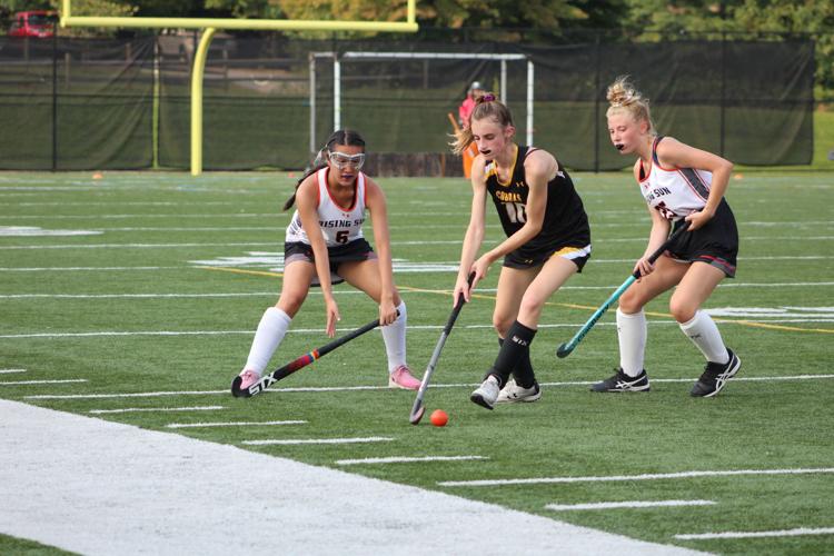 Harford Tech Cobras defeat Rising Sun Tigers 6-1 | Sports | cecildaily.com