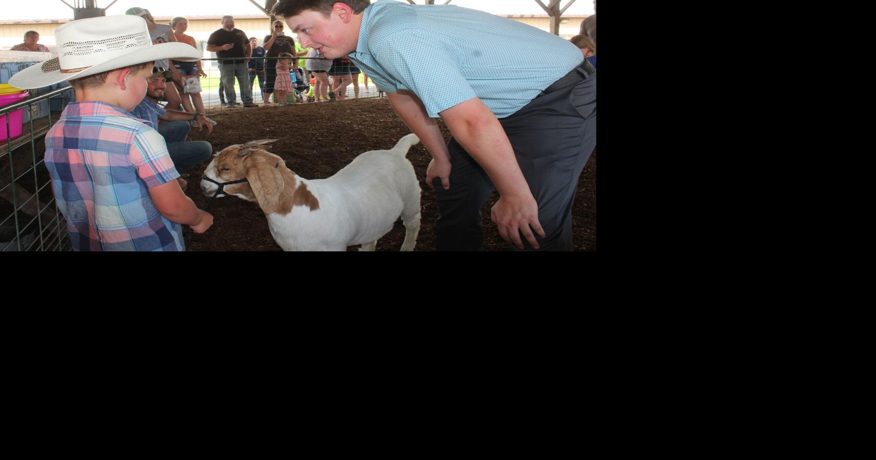 Cecil County 4-H competes for meat goat ribbons | Agriculture ...