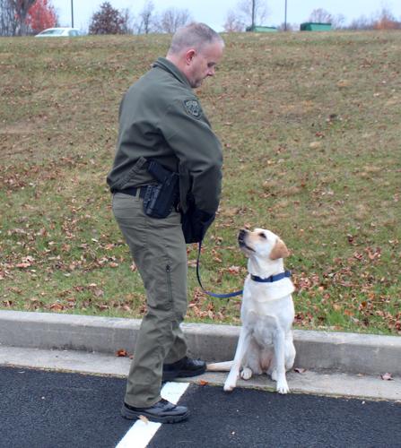 Sniffin’ Sleuths: Fire investigator partners with new arson detection ...