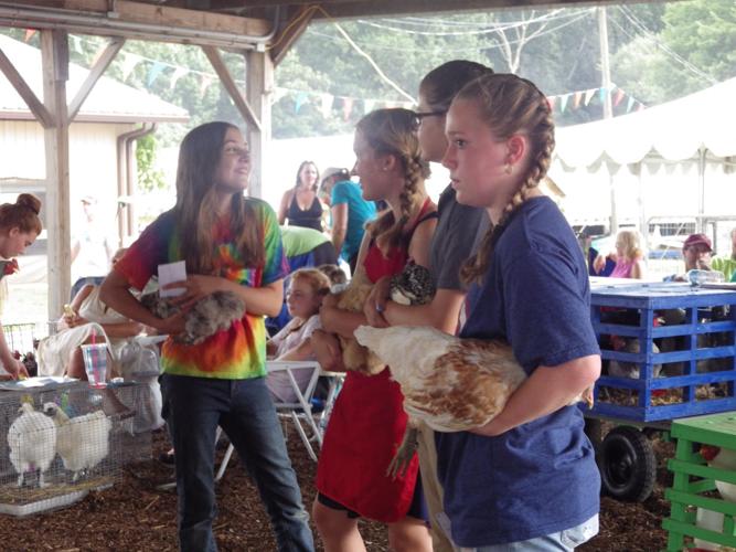 4-Hers show off their birds at fair Poultry Show | Local News ...