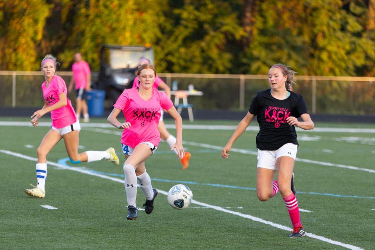 Panthers moving full steam ahead as regular season winds down | Sports ...