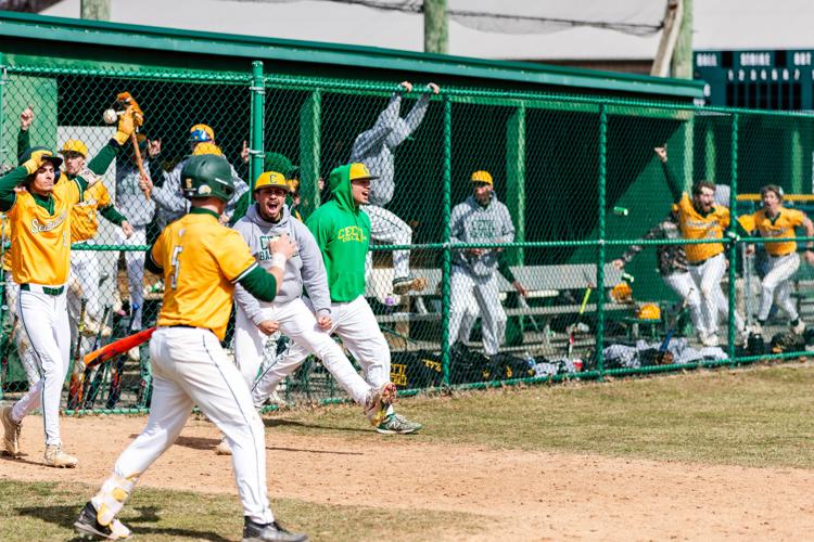 Cecil College baseball secures pair of wins in series against Southern ...