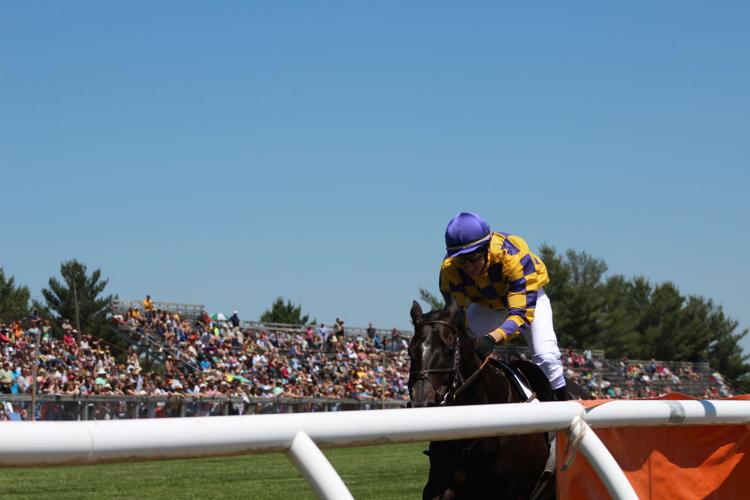 Fair Hill Races draw big crowd under new organizers | Local News ...