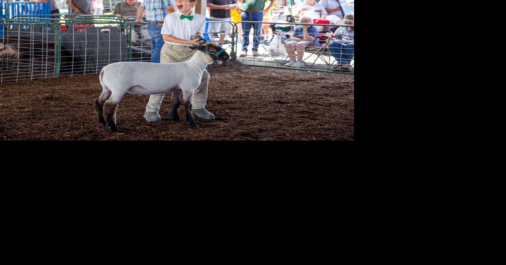 AgriCulture: Cecil Farm Bureau meeting, National 4-H Week, join the ...