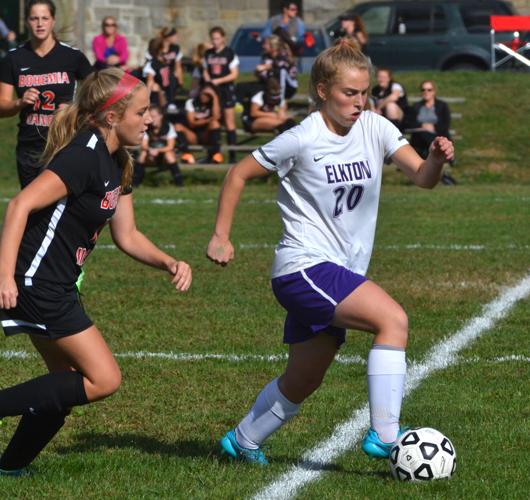 Ten Cecil Co. girls' soccer players named 1st-team All-Susky | High ...